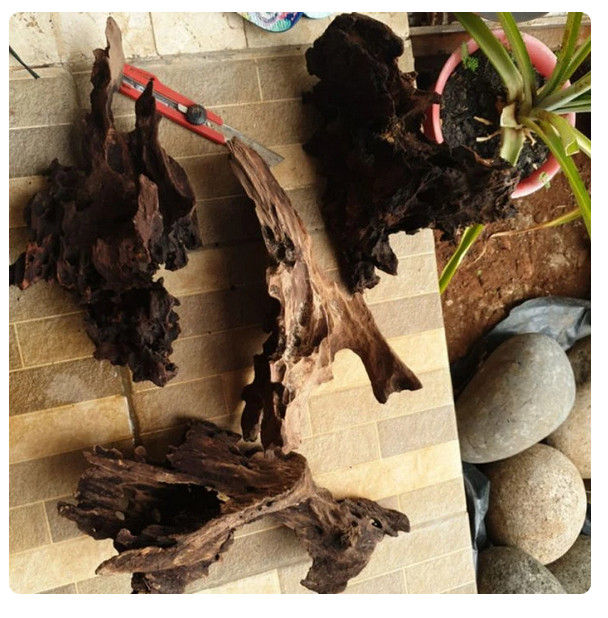 Kayu Dekorasi / Kayu Aquascape / driftwood | Lazada Indonesia