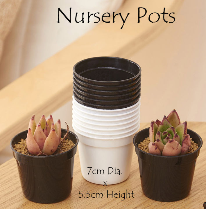 20 to 500 pieces Nursery Pot, Seedling Pot, Succulent and Cactus and ...