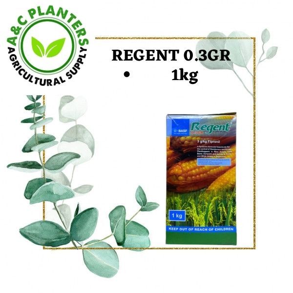 REGENT 1kg | Lazada PH