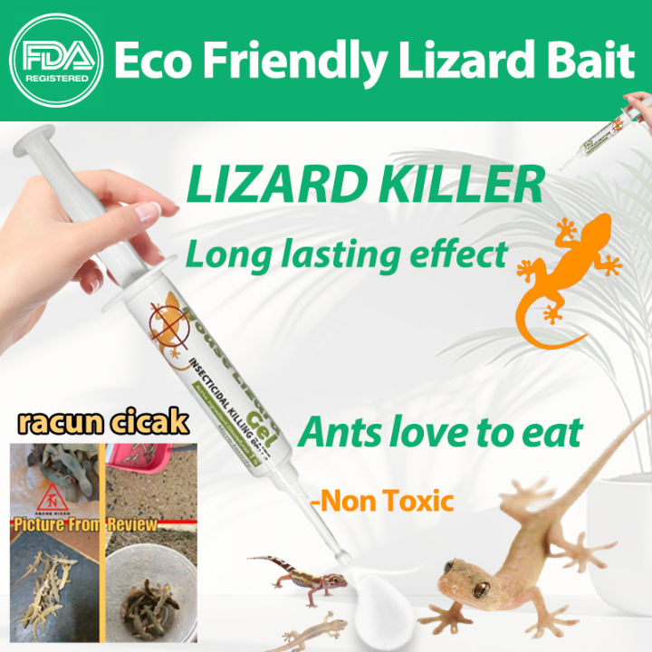 100% effective in killing lizards QNS lizard killer racun cicak racun ...