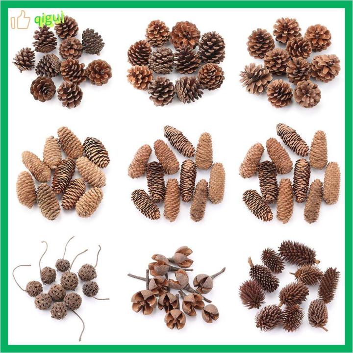 QIGUI 10Pcs Home DIY Garland Christmas Photo Props Dried Plants ...