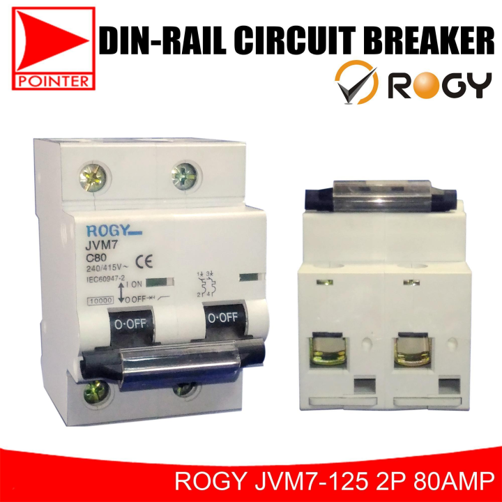 ROGY Mini Circuit Breaker 10KAIC 80amp. 2POLE | Lazada PH