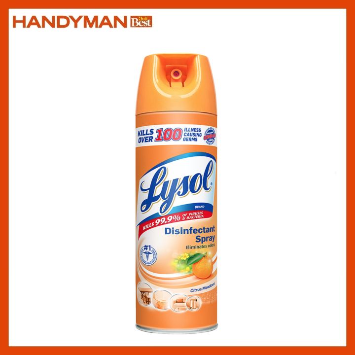 Lysol disinfectant spray citrus meadows store