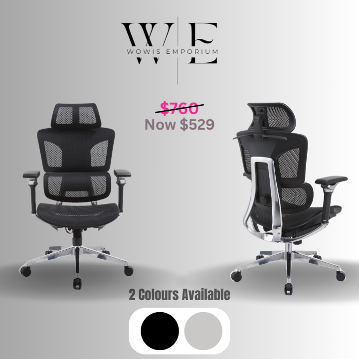 PRO V1 Fully Customizable Mesh Ergonomic Office Chair/Computer/Study ...
