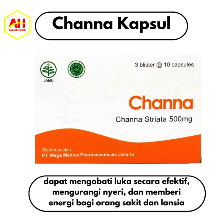 Channa Kapsul | Lazada Indonesia