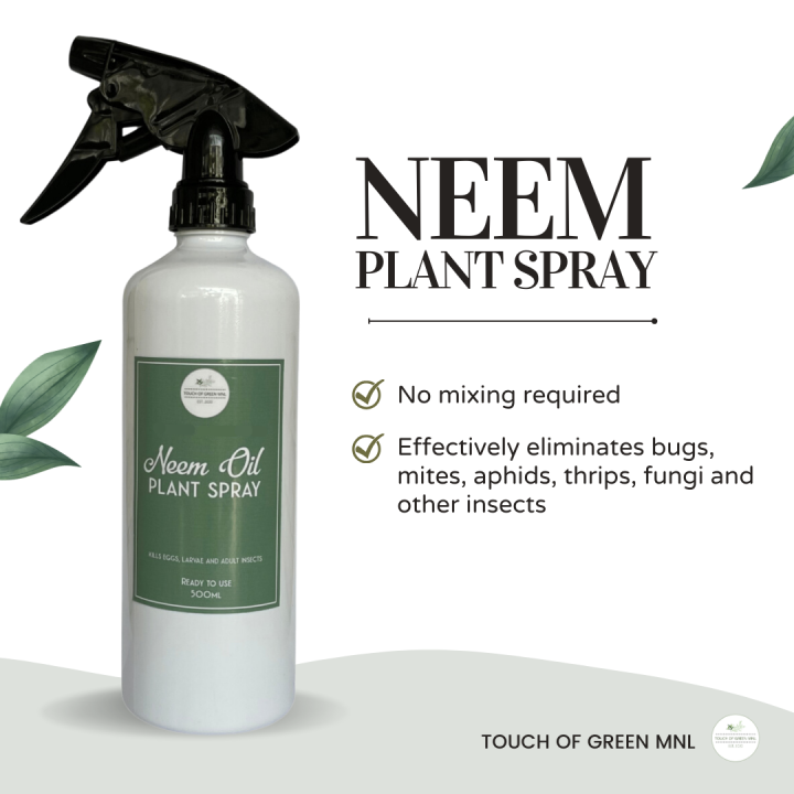 Neem oil plant spray 500ml (Ready to use) control aphids, bugs ...