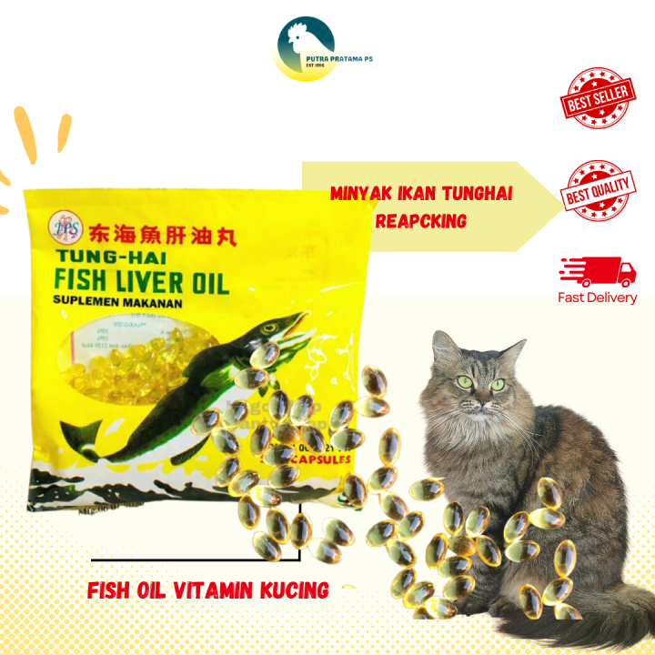 MINYAK IKAN TUNGHAI FISH OIL Vitamin Kucing Ecer Kemasan Repack ...