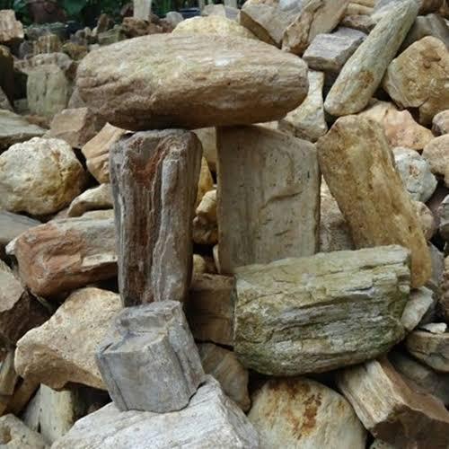 BATU FOSSIL KAYU AQUASCAPE AQUARIUM 5 KG / BATU DEKORASI FOSIL KAYU ...