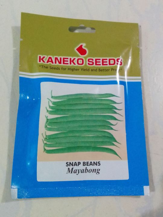 MAYABONG SNAP BEANS SEEDS (13GRMS) KANEKO SEEDS | Lazada PH