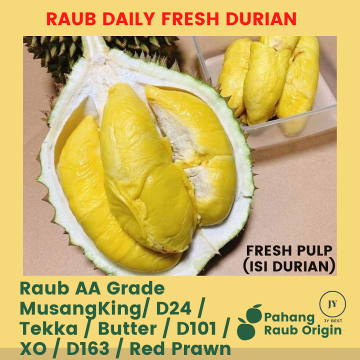 KLANG VALLEY ONLY DAILY FRESH RAUB PREMIUM DURIAN Musang King XO Butter ...