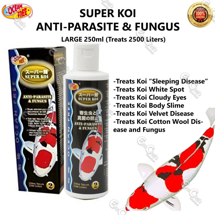 Ocean-Free Premium Super Koi #2(Large-Sized 250ml)Anti-Parasite Feeders ...