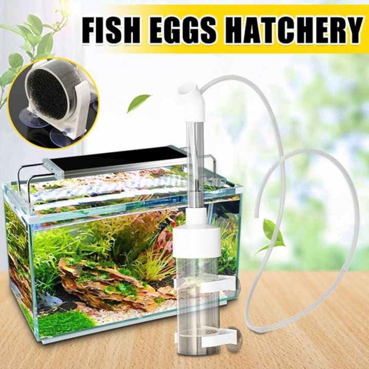 RKNOW Durable Air Device Fish Tanks Instead Mouth-brooding Fish Ovum ...
