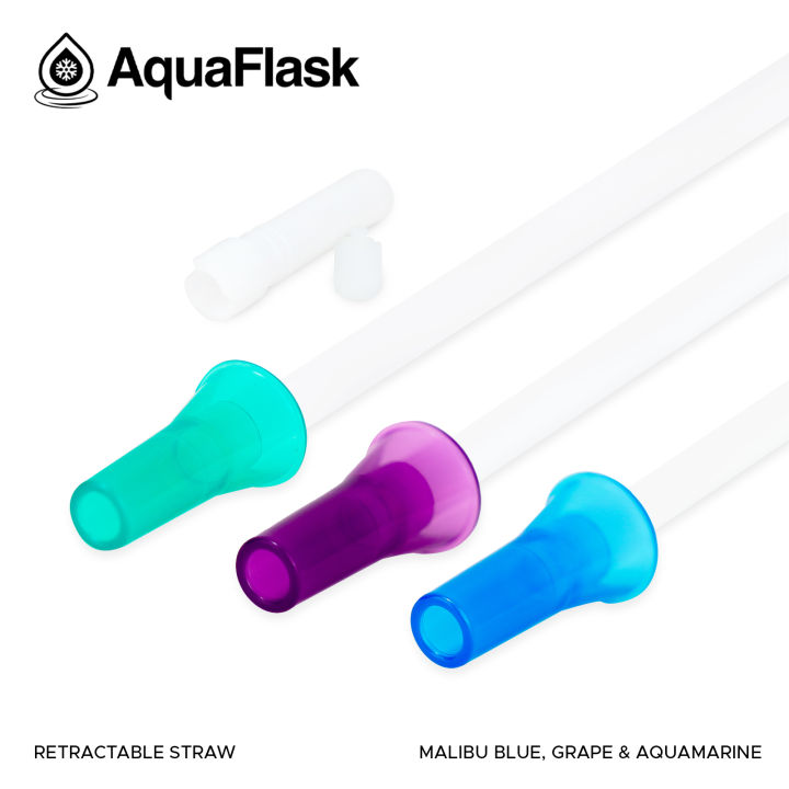 AquaFlask Accessories Retractable Straw | Lazada PH
