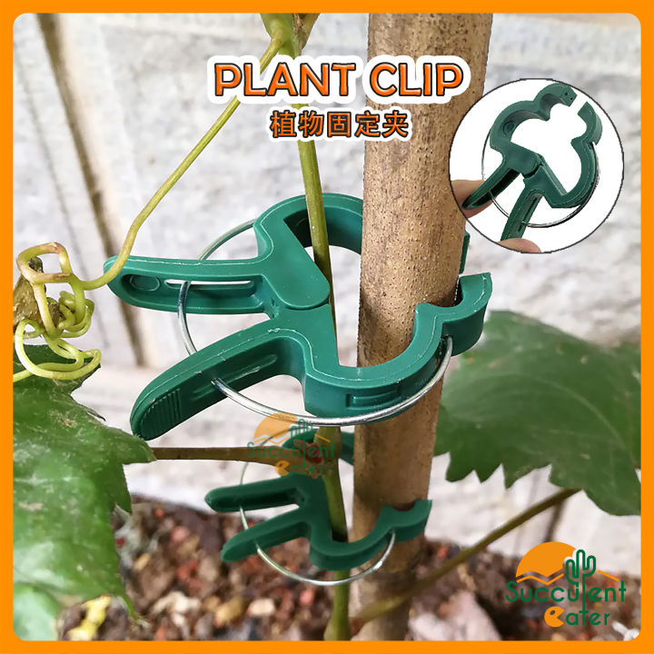 Garden Clip for Plant Flower Lever Loop Gripper Clips Fastener Flower ...