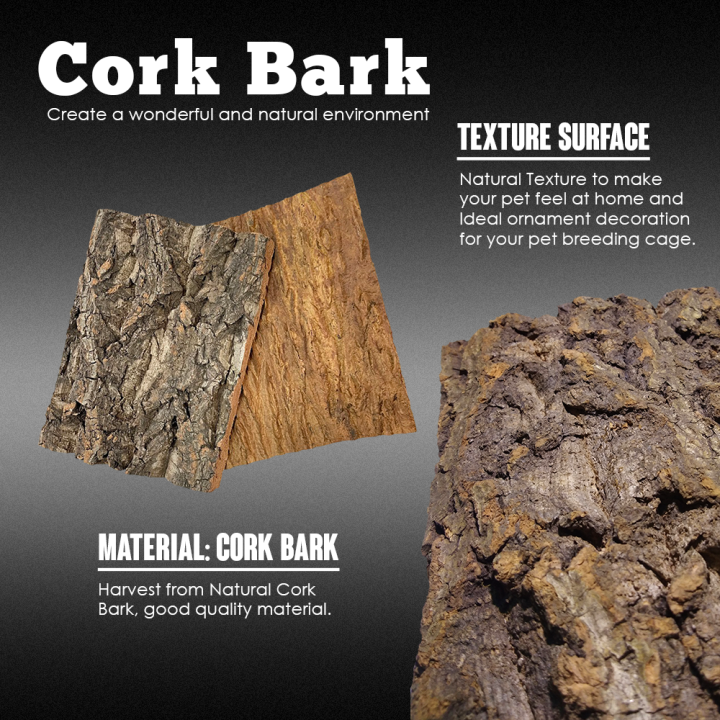 Natural Cork Bark Reptile Bark Backdrop Wall Decor Rough Texture for ...