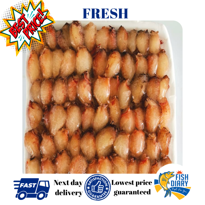Crab Meat (500g+-) 螃蟹肉 Frozen Seafood Shellfish Crab Isi Ketam FISH FOR ...