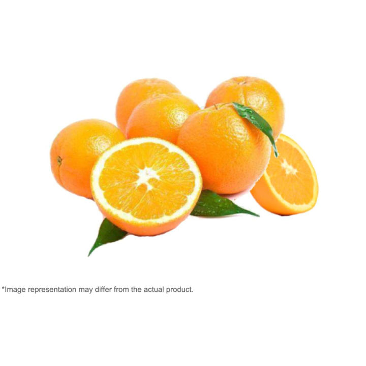 Imported Navel Orange Size 113 Bundle (6pcs) | Lazada PH