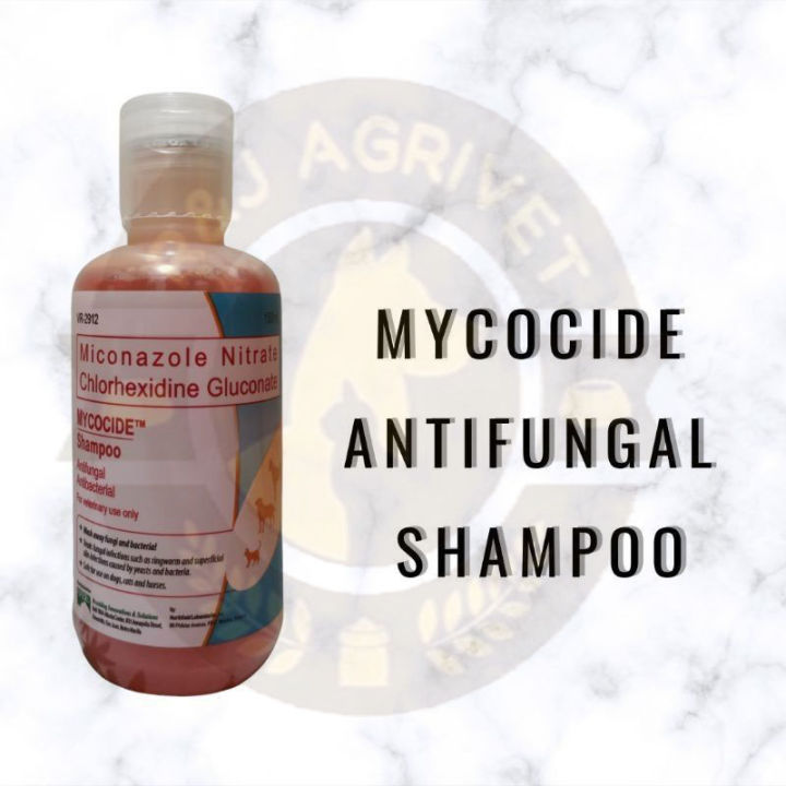 Mycocide Antifungal Shampoo 150ml ORIGINAL | Lazada PH