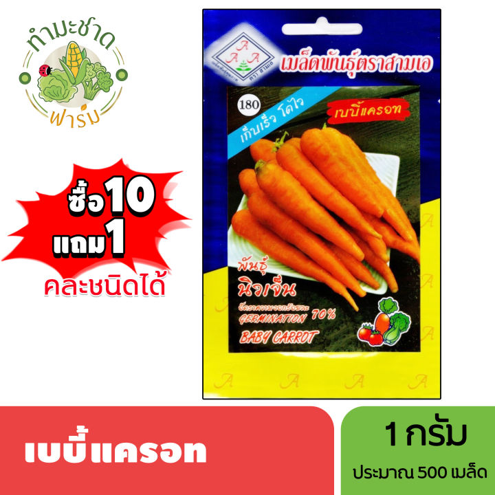 3A (ซื้อ10แถม1) เมล็ดพันธุ์ เบบี้แครอท ขนาด 1กรัม ประมาณ 500 เมล็ด BABY ...
