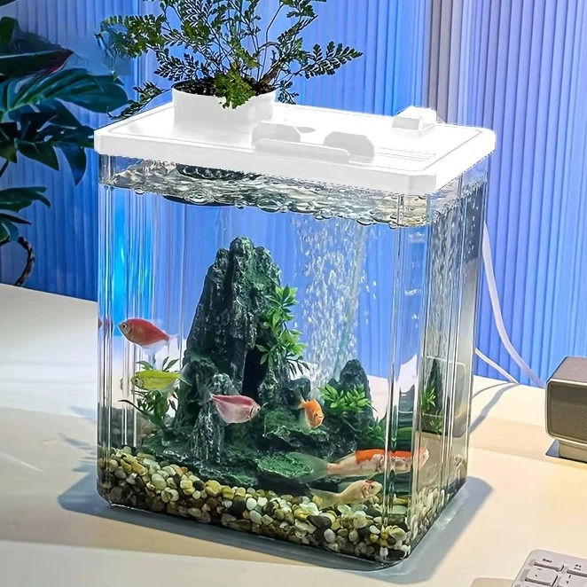 Acrylic Aquarium Fish Tank Transparent Rectangular Desktop Decorative ...