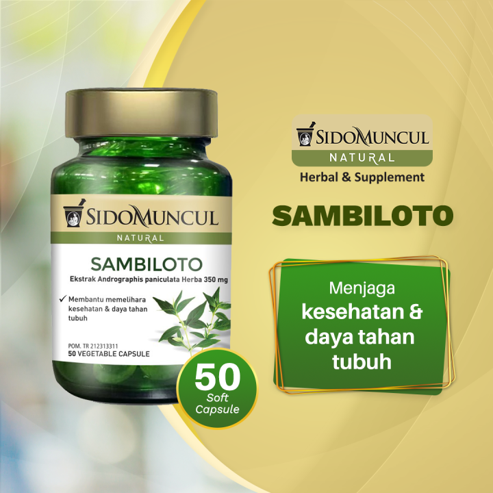 Sido Muncul Natural Ekstrak Daun Sambiloto Kapsul 50 Daya Tahan Tubuh ...