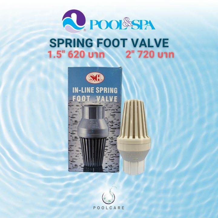 Pool&Spa Spring Foot Valve - สปริงฟุตวาล์ว 2" | Lazada.co.th