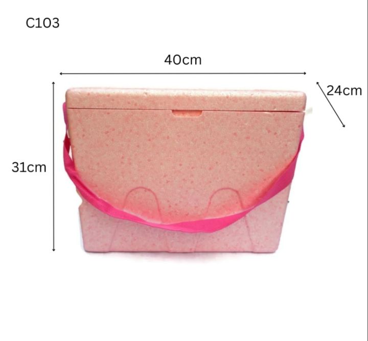 Styrofoam Ice Chest Cooler Box - Mini Insulated Food & Beverage ...