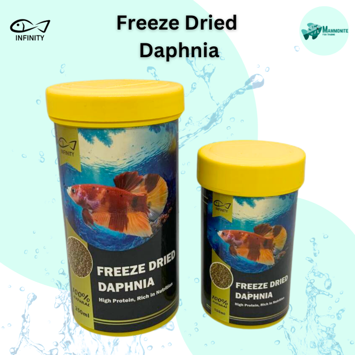 Infinity Freeze Dried Daphnia Fish Food for Tropical Marine Fish ...
