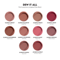 VICE CO. Dew It All Liquid Blush | Lazada PH