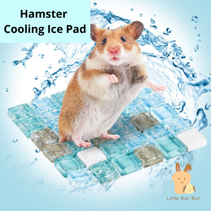 Crystal Cooling Pad- ice pad summer cooling bed mat hamster accessories ...