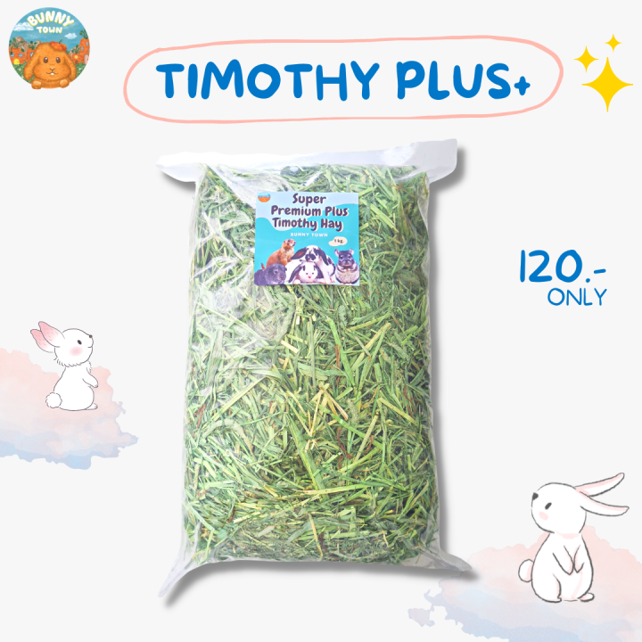 🌟ล็อตใหม่ล่าสุด ใช้ส่งฟรีได้🌟หญ้าทิมโมธีร่อนฝุ่นเกรดสูงสุด Super ...