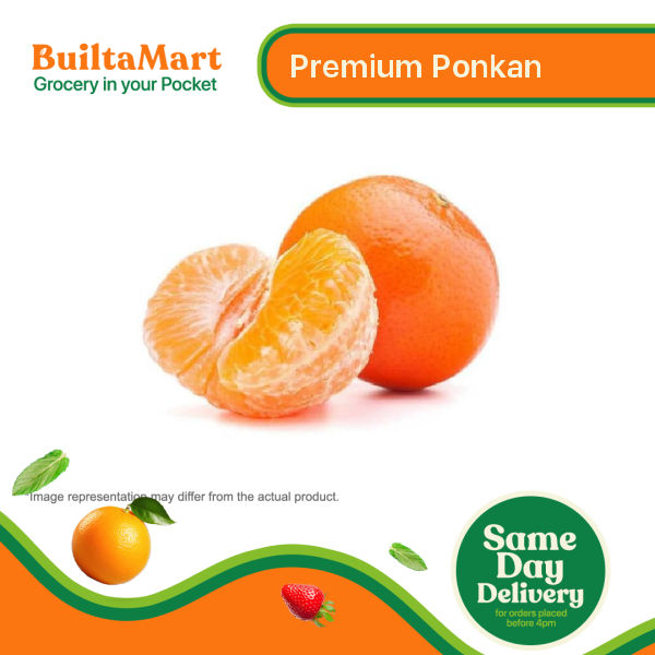 Imported Premium Ponkan (1pc) | Lazada PH