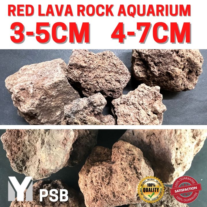 Red Lava Rock Aquarium BIO FILTER MEDIA VOLCANO STONE Fish Tank | Lazada