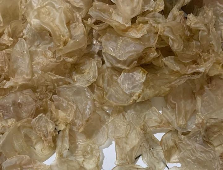 100GR FISH MAW KAKAP PUTIH GELEMBUNG IKAN KERING LEZAT BERGIZI TINGGI ...
