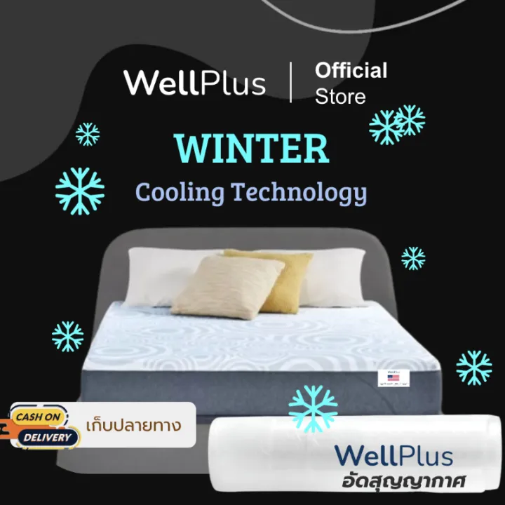สินค้าแนะนำ WellPlus [อัดสุญญากาศ] รุ่น Winter ที่นอนเมมโมรี่โฟม ผสม ...