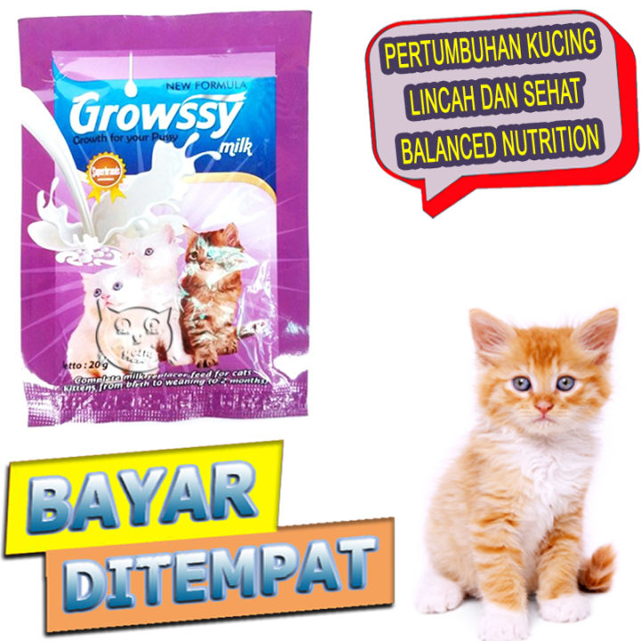 Susu Anak Kucing Pertumbuhan Completed Formula Growssy Cat Growth For ...