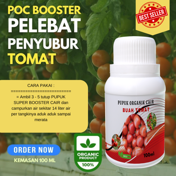Pupuk Organik Pelebat Buah Tomat Pupuk Organik Untuk Tanaman Tomat Booster Organik Tomat Isi 100 ...