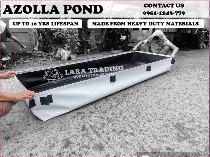 Azolla pond/Bed Trapond Trapal | Lazada PH