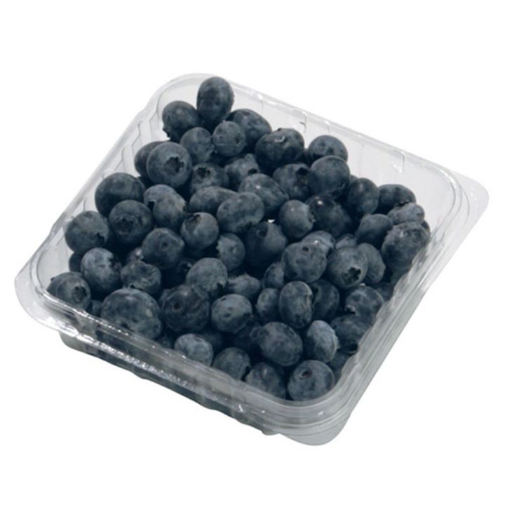 Blueberries Fruits (Pack) Buah Bluberi | Lazada