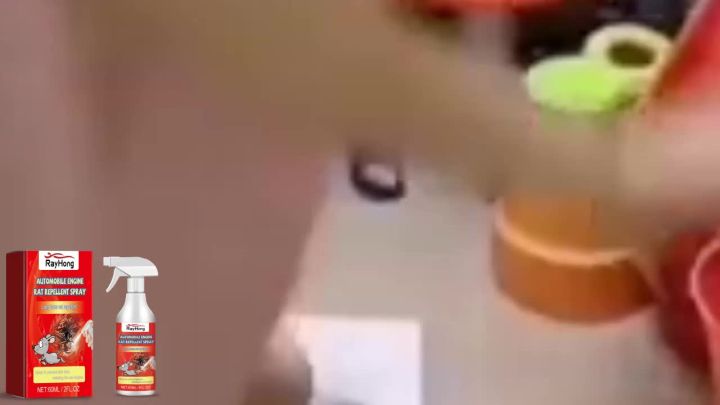 Rayhong Car Engine Rat Repellent Spray. Engine bay rodent repellent ...