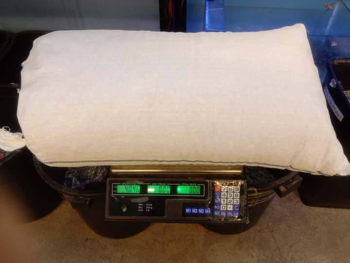 kusot for animal beddings wood shavings PER SACK | Lazada PH