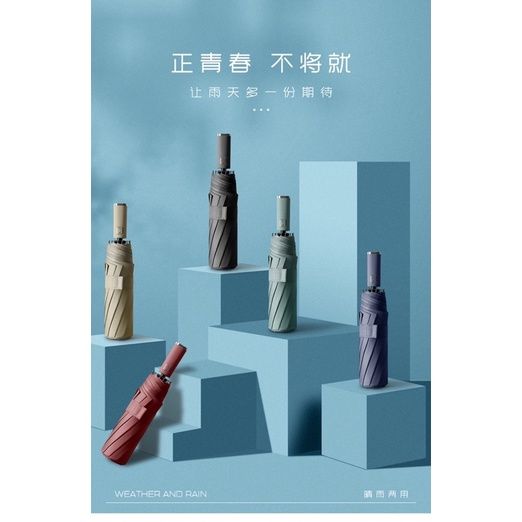 10 Ribs Waterproof Automatic Open and Close Foldings Umbrella (With ...