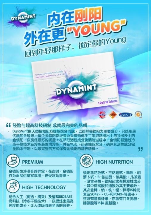 Dynamint 100 原装正品 Dynamint 🧊冷糖🍬 冷真大 口感冰冷 两盒为一个疗程 Lazada
