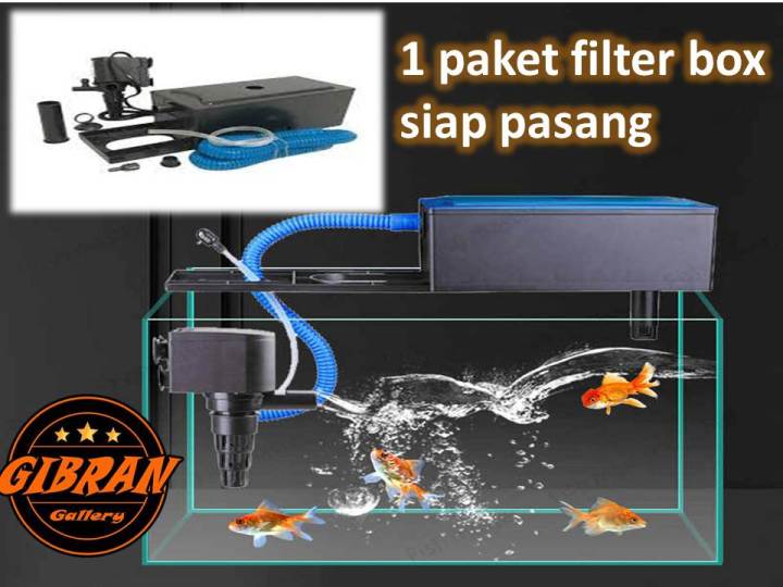 Box filter aquarium store