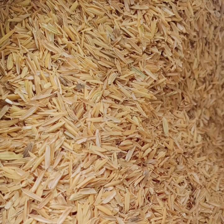 Sekam padi mentah / Rice paddy husks | Lazada