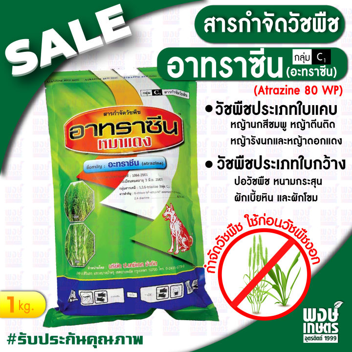 อาทราซีน 80 ตราหมาแดง (Atrazine 80 WP) 1 kg. ( ยาคุมหญ้า สารกำจัดวัชพืช ...