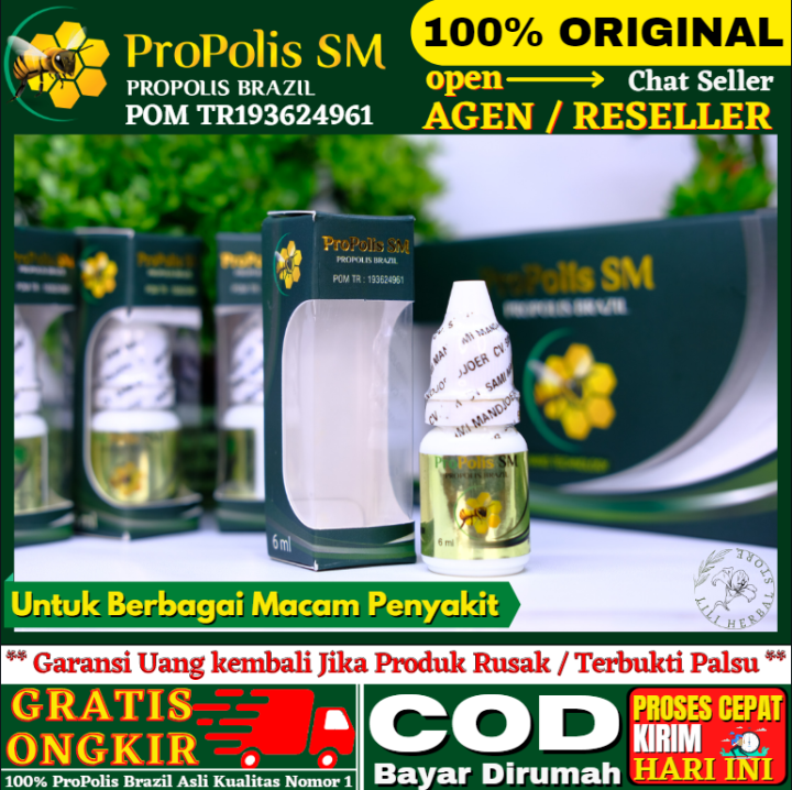 Herbal Untuk Asam Lambung, Nyeri Ulu Hati Maag Kronis Magh Akut, Obat ...