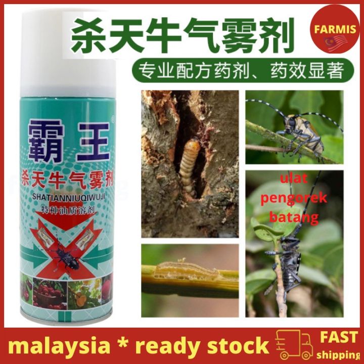 Sprayer Racun Ulat Kumbang Pengorek Batang Pokok 霸王天牛钻心虫蛀心虫杀虫剂克星雾剂 serangga pengorek racun ...