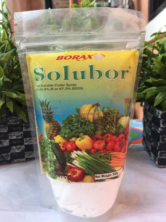 Solubor Total Soluble Foliar Spray (BORAX) 100g | Lazada PH