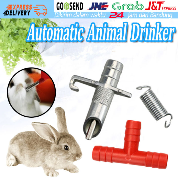 5Pcs Set Niple Kelinci Hamster Alat Minum Kelinci Nipel Dot Kelinci ...